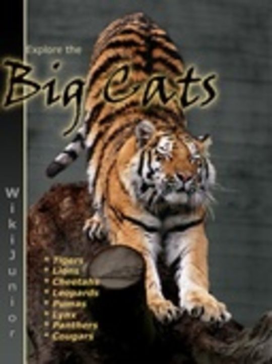Wikijunior: Big Cats by Big_Cats/Authors | BookFusion