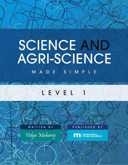 A Process of Learning Mathematics - Levels 4 and 5 by Vidya (Vadewatte ...