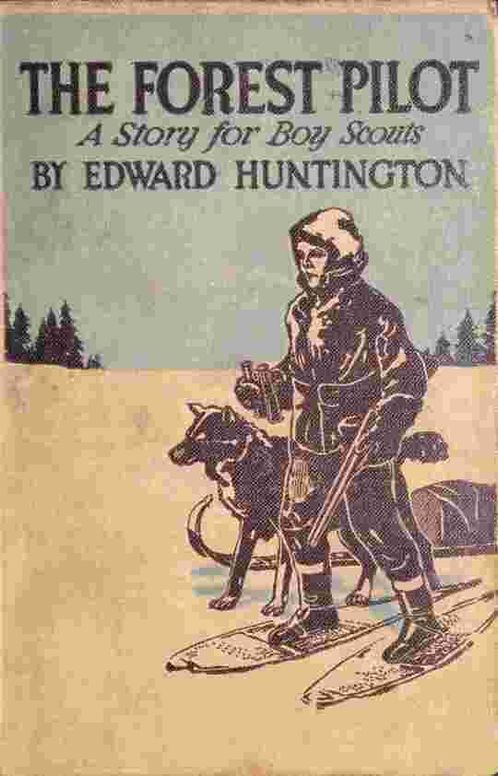 The Forest Pilot: A Story for Boy Scouts by Edward Huntington | BookFusion