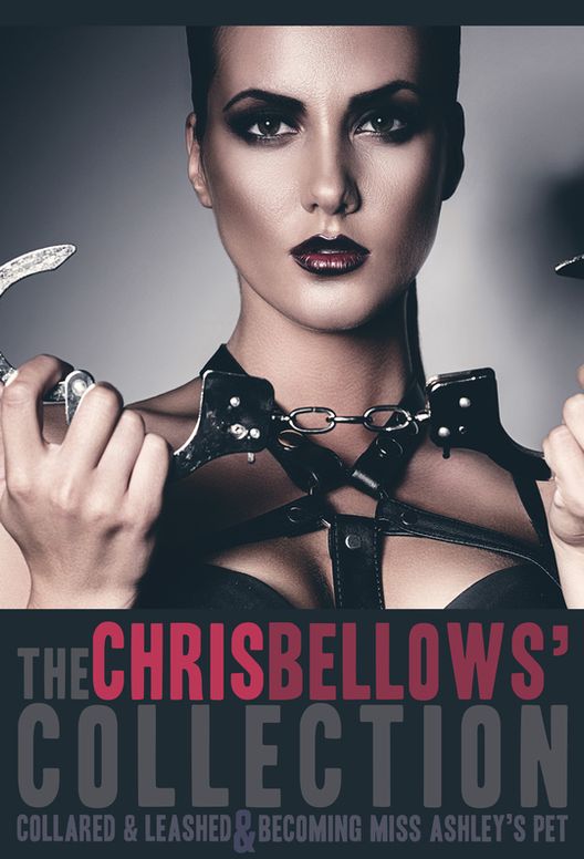 The Chris Bellows' Collection by Chris Bellows | BookFusion